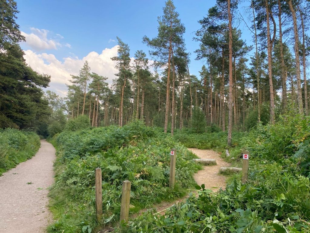 Lady Cannings Trail Day Social: Saturday 23rd October – Ride Sheffield